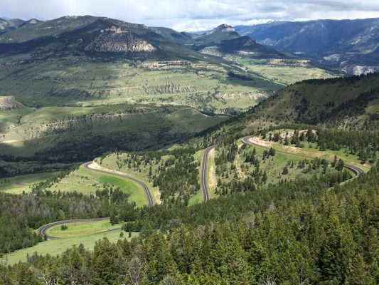 Better Than The Tail