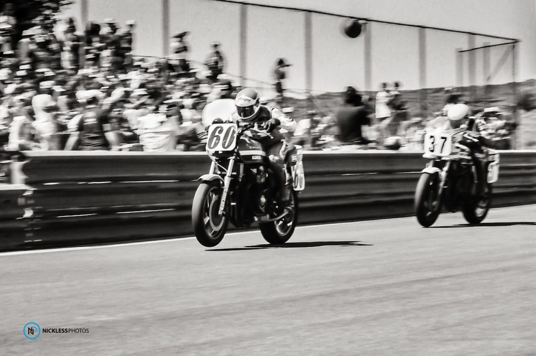 Through the Lens: Wayne Rainey