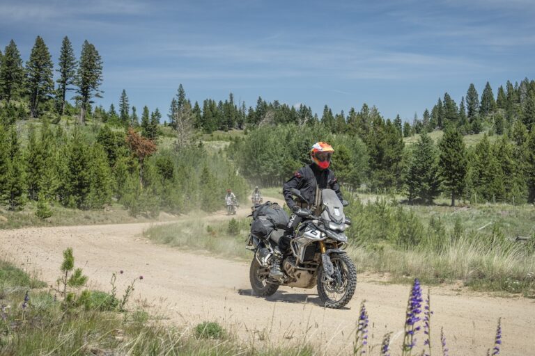 Montana BDR Debuts